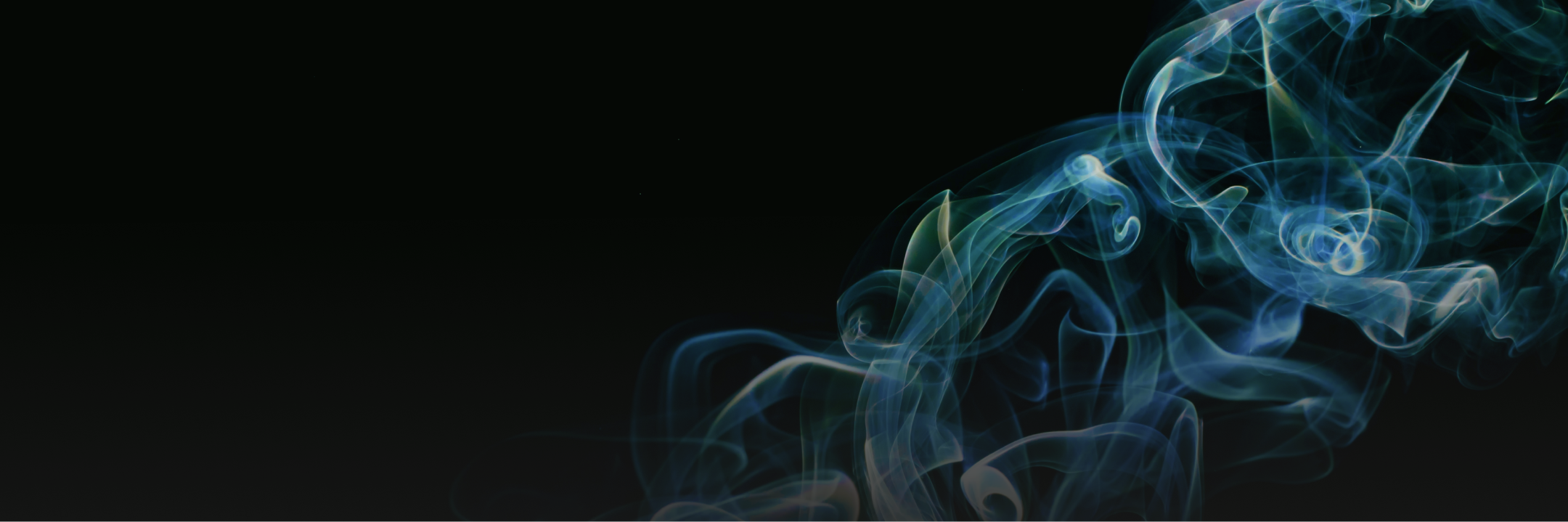 Lifebit to Build 'Data Bridge,' Revolutionising Precision Medicine